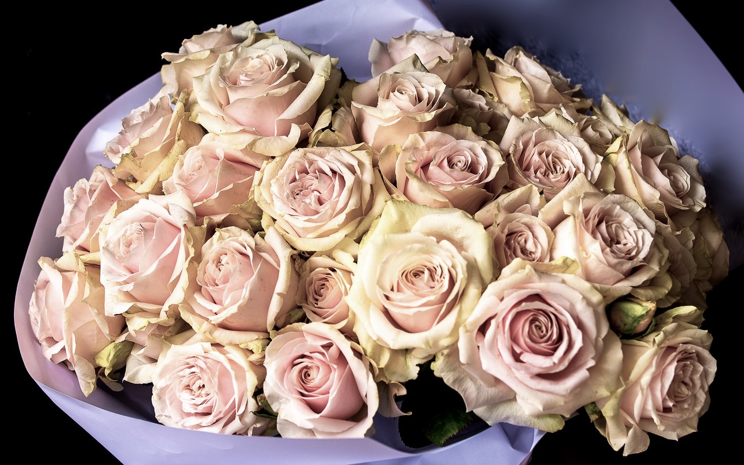 Deep Dive into the Seasonal Offerings at Neutral Bay Florist Shop
